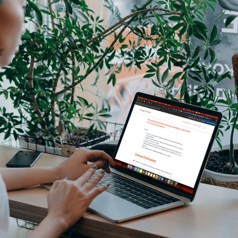 Online Dynamic Mindfulness Training | Resilience, Regulation & Empathy ...